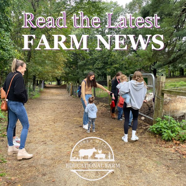 Latest News - Joppa Hill Educational Farm