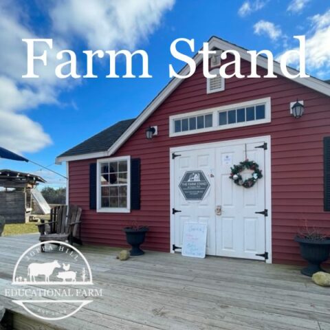 Farm Stand - Joppa Hill Educational Farm