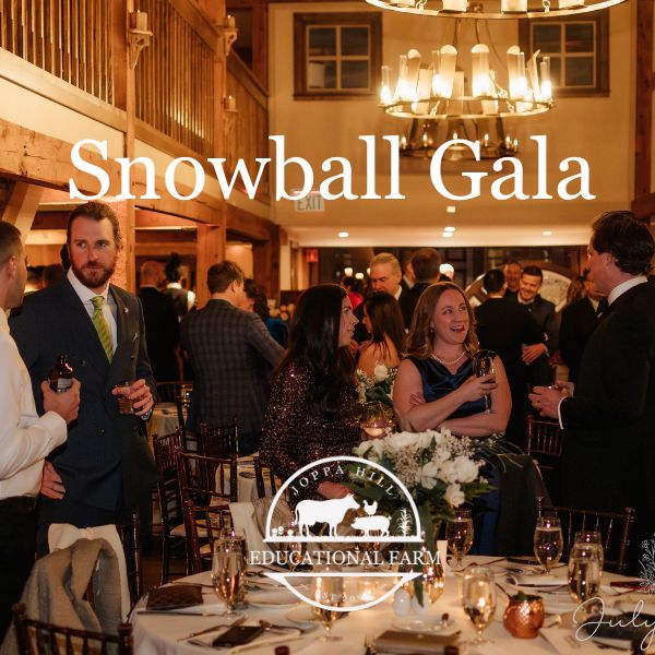 Snowball Gala - Joppa Hill Educational Farm