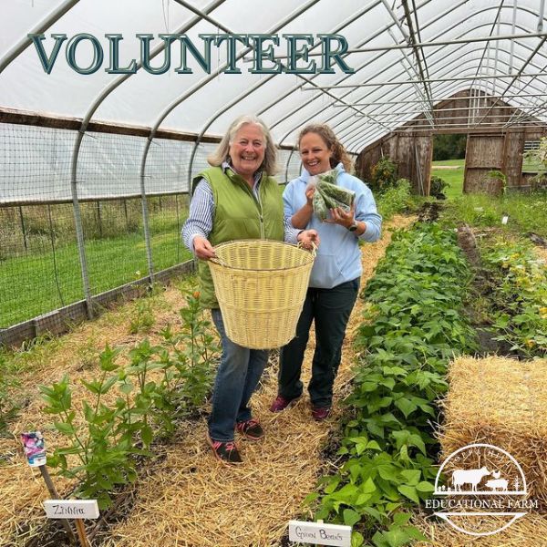 Volunteer Opportunities - Joppa Hill Educational Farm